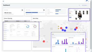 Solutions – WingDriver™ – Get home safely